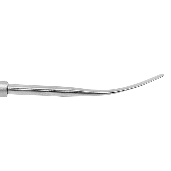 Super Flexible Periotomes, Curved 3mm. – Lenox Vet Usa